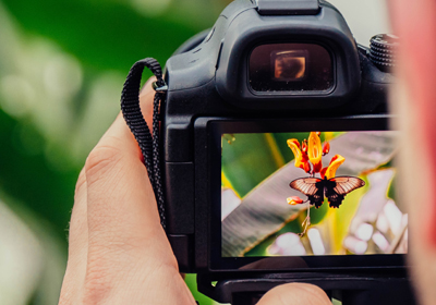 How to use your camera: the basics | Fixation